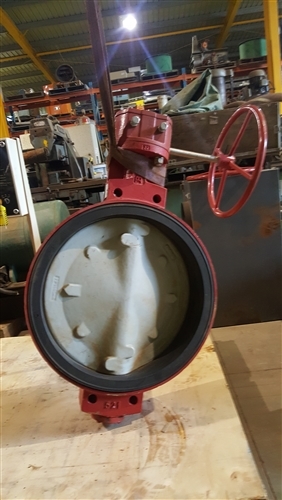 Bray 18" 450mm Butterfly Valves | J&P Group